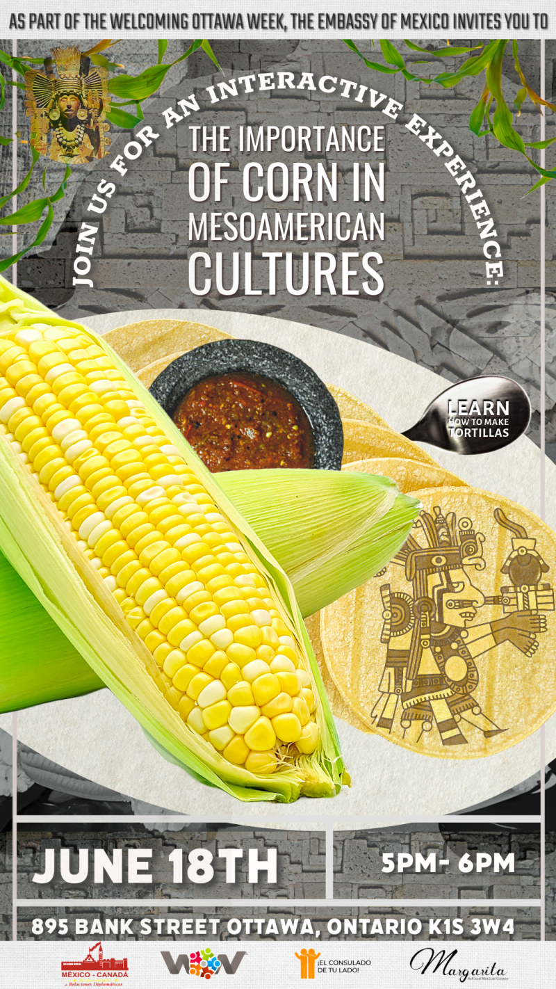 The Importance of Corn in the Mesoamerican Gastronomy – WOW Events